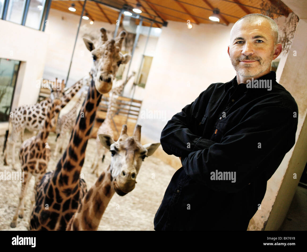 Petr Fejk, Prague's Zoo director, giraffe Stock Photo - Alamy