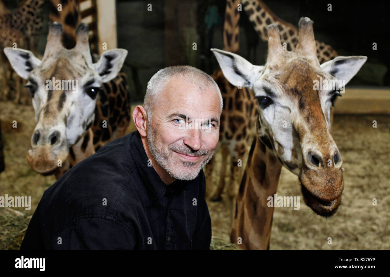 Petr Fejk, Prague's Zoo director, giraffe Stock Photo - Alamy