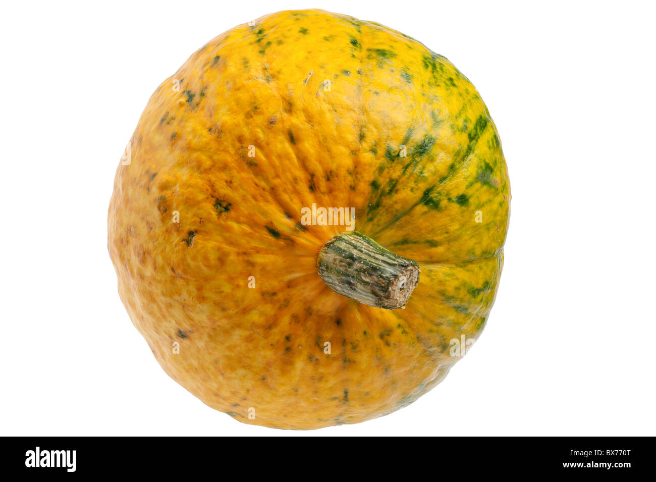 Front view of colourful pumpkin isolated on white background. Pumpkin ...
