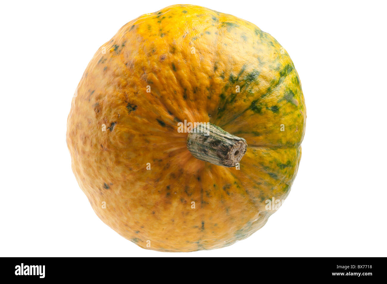 Front view of colourful pumpkin isolated on white background. Pumpkin ...