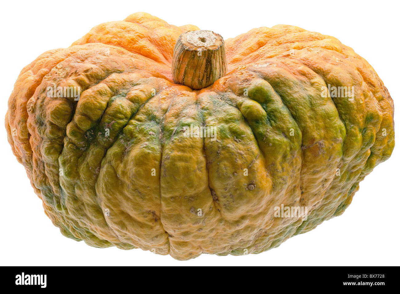 interesting shape of colourful pumpkin isolated on white background ...