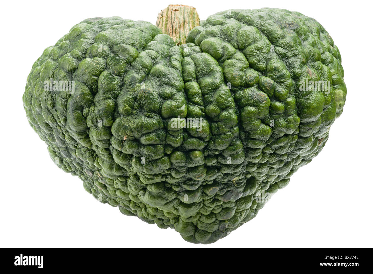 interesting shape of colourful pumpkin isolated on white background ...