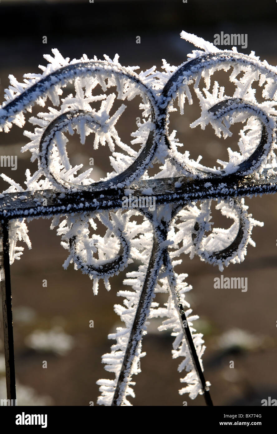 Hoar frost on metal gate Stock Photo - Alamy