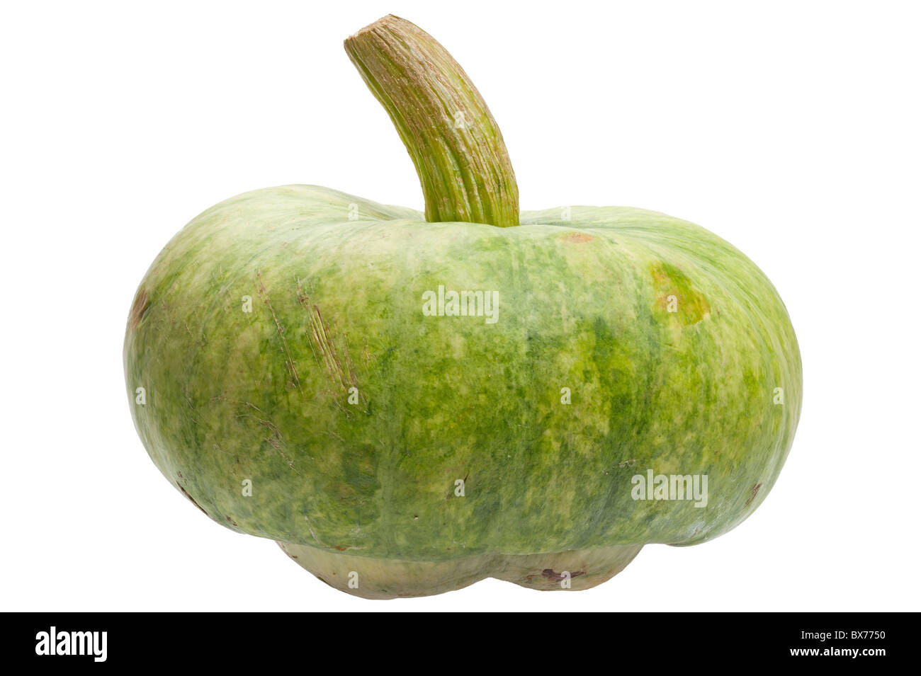 Green pumpkin isolated on white background. Pumpkin is ecological and ...