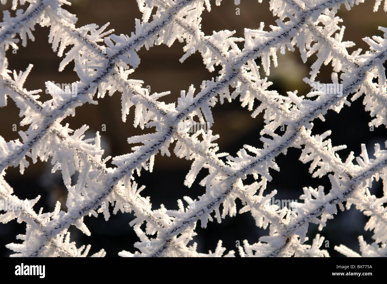 Hoar frost on chain-link fencing Stock Photo - Alamy