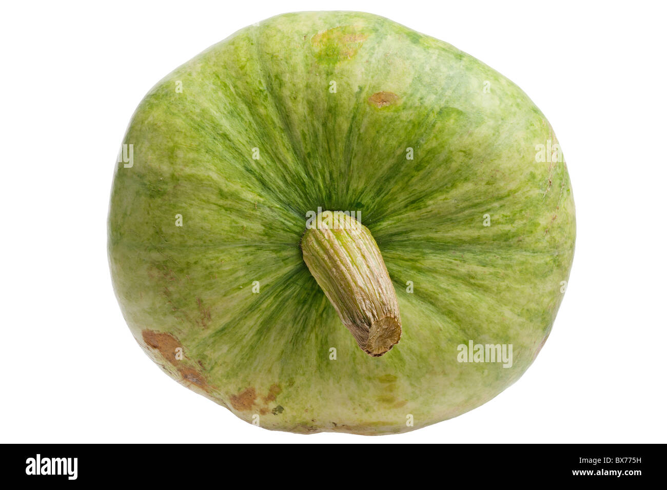 Front view of green pumpkin isolated on white background. Pumpkin is ...