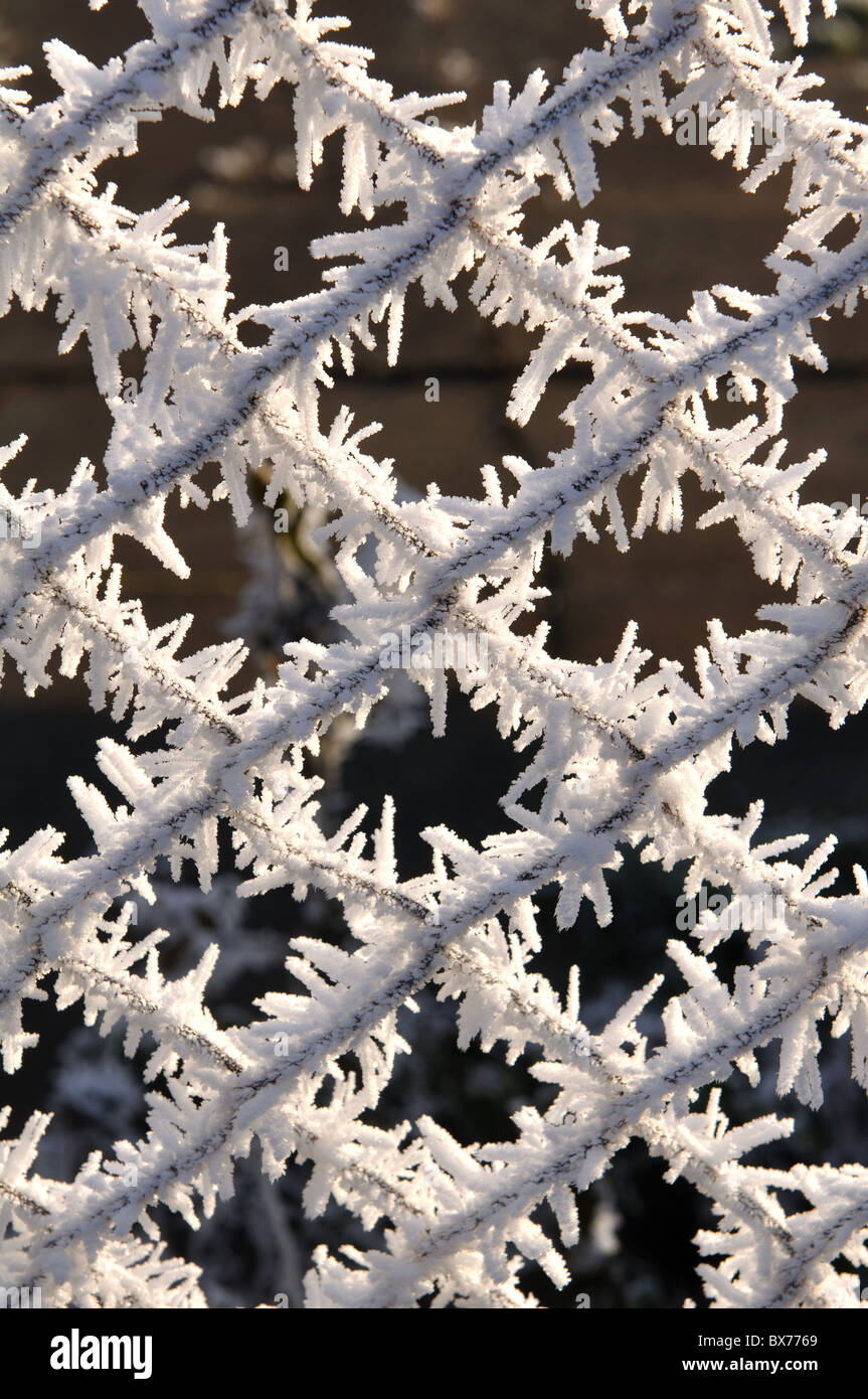 Hoar frost on chain-link fencing Stock Photo - Alamy