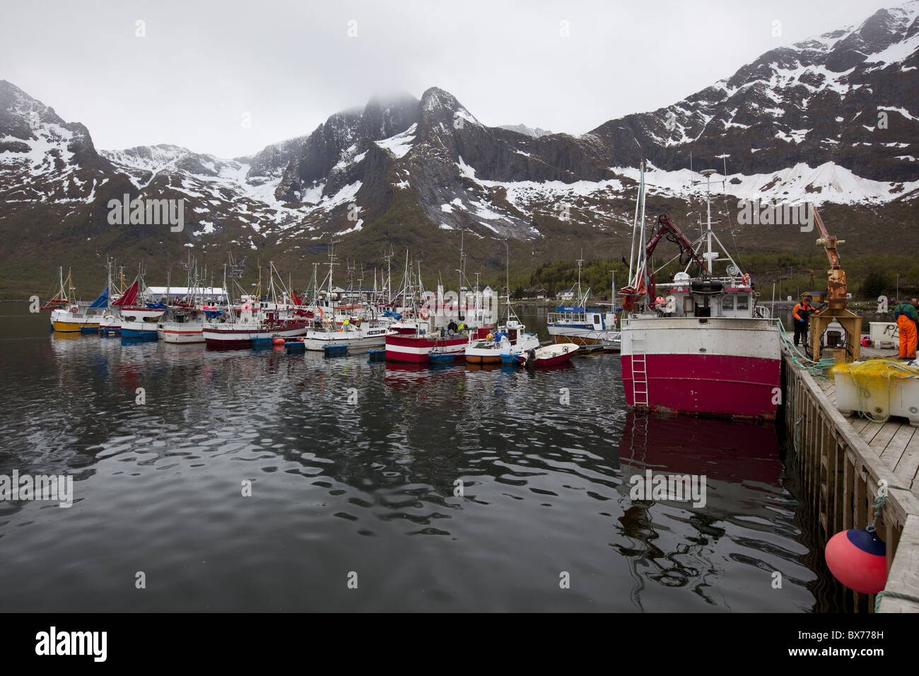 Senja hopen hi-res stock photography and images - Alamy