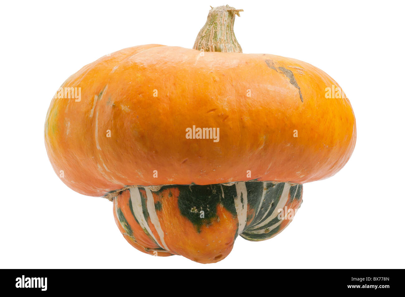 interesting shape of colourful pumpkin isolated on white background ...
