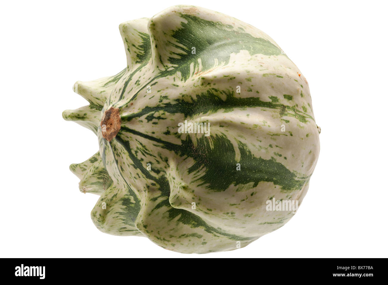 interesting shape of colourful pumpkin isolated on white background ...
