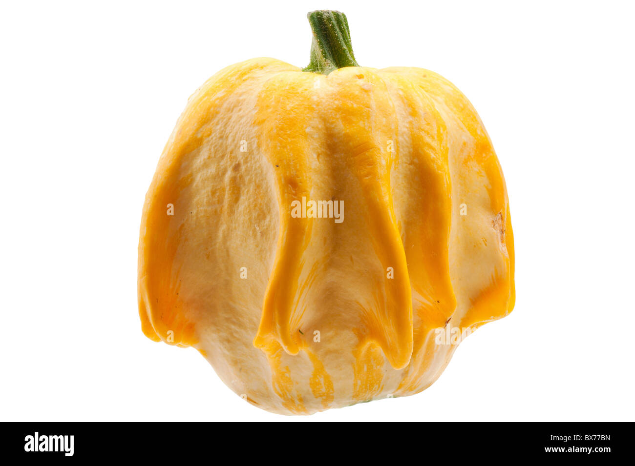 interesting shape of colourful pumpkin isolated on white background ...