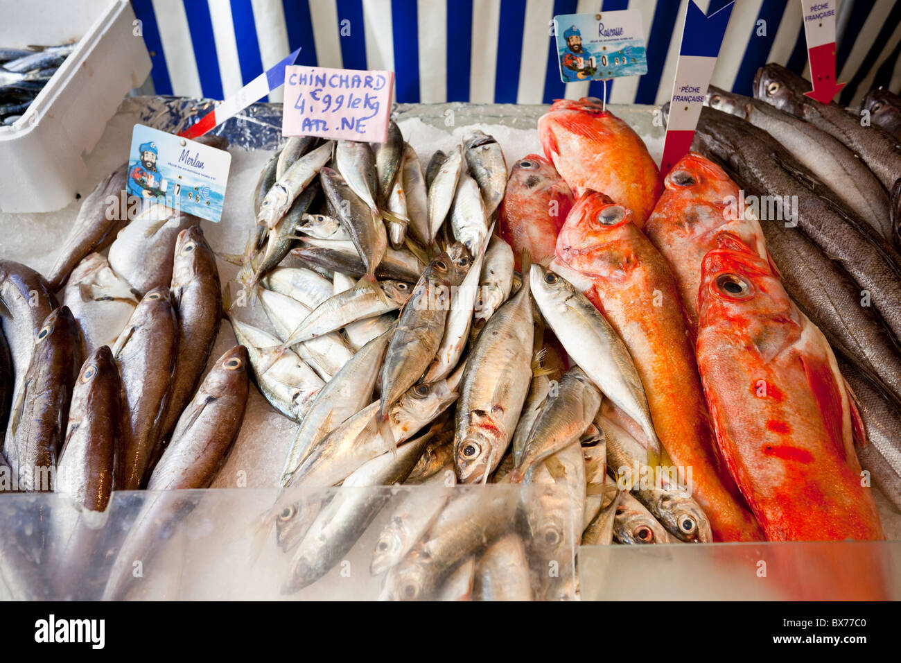 Monge hi-res stock photography and images - Alamy