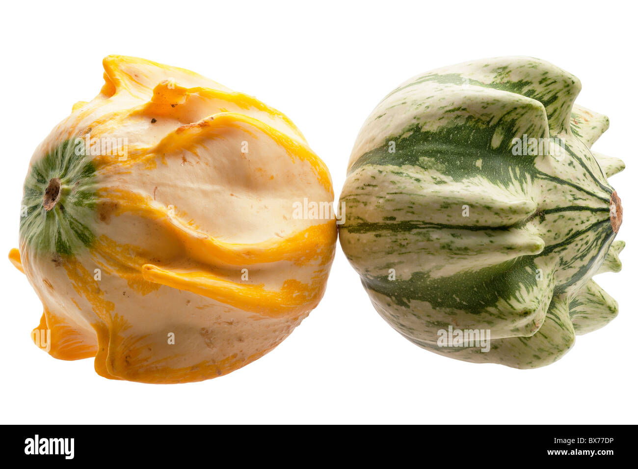 Two pumpkins isolated on white background. Both pumpkins are ecological ...