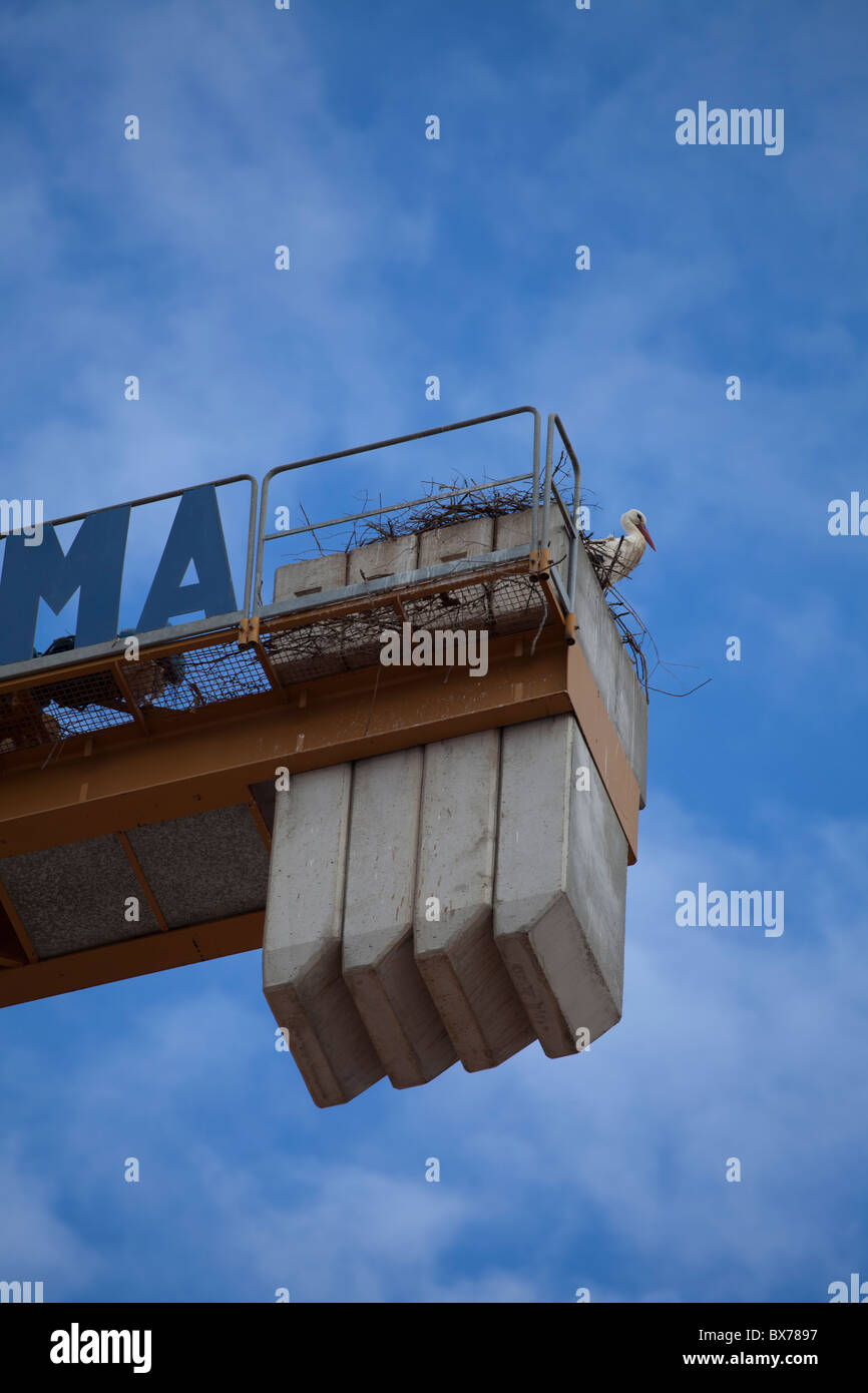 A White Stork nesting on a construction site crane Stock Photo - Alamy