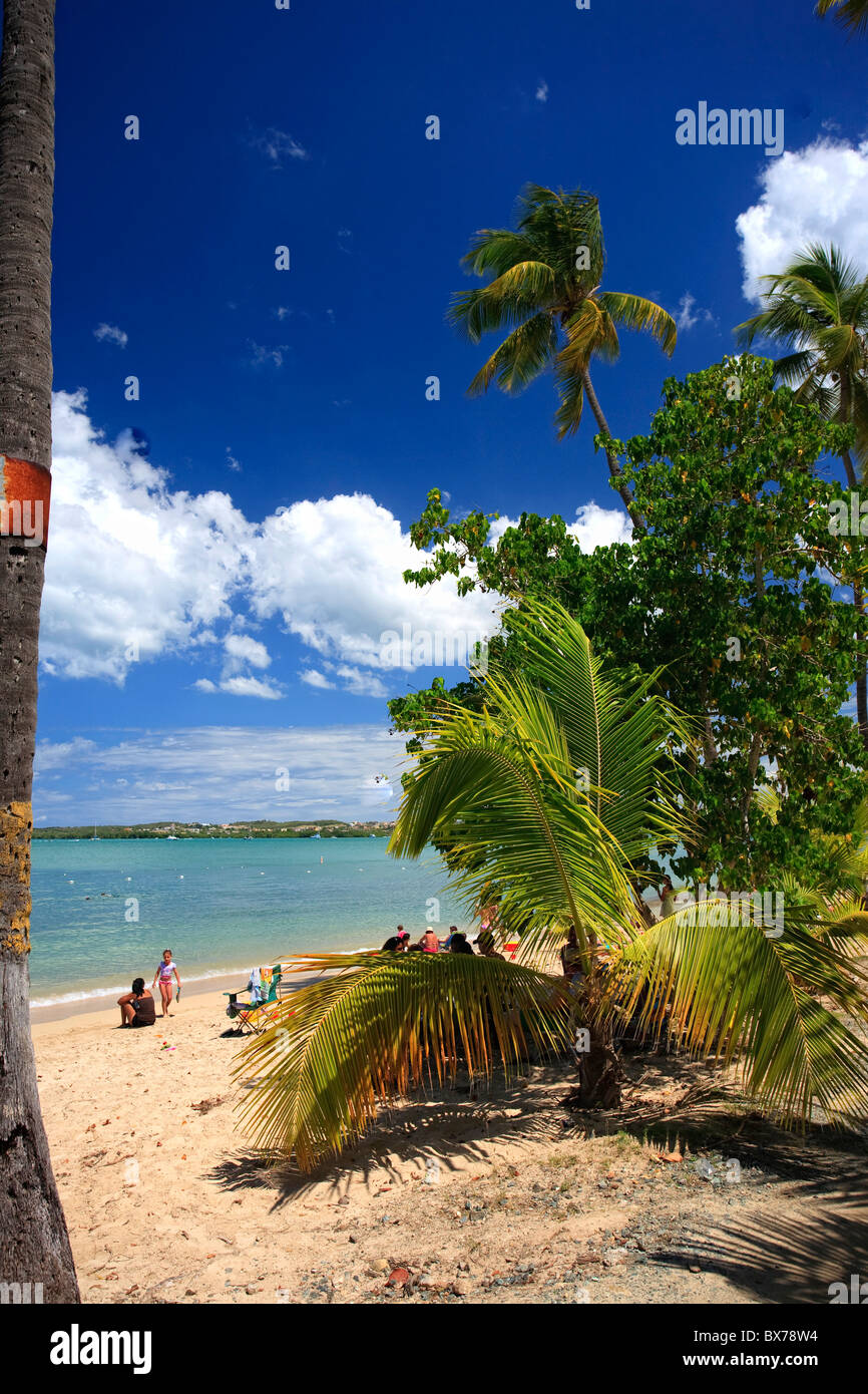 Usa, Caribbean, Puerto Rico, West Coast, Boqueron Beach Resort Stock ...