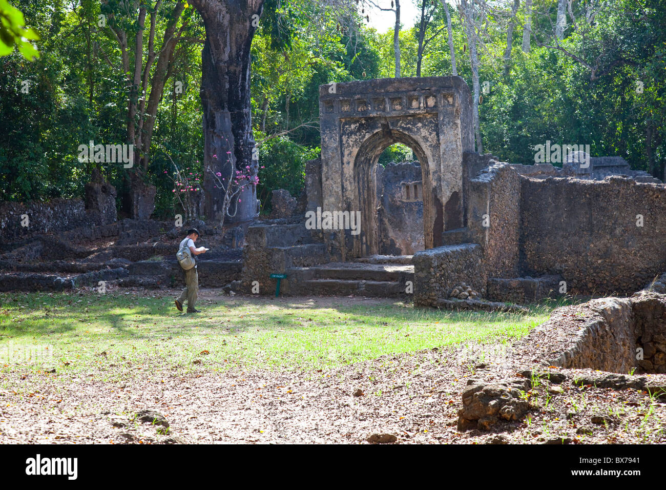 Ruins of Gedi or Gede, historic Swahili town, Watamu, Kenya Stock Photo ...