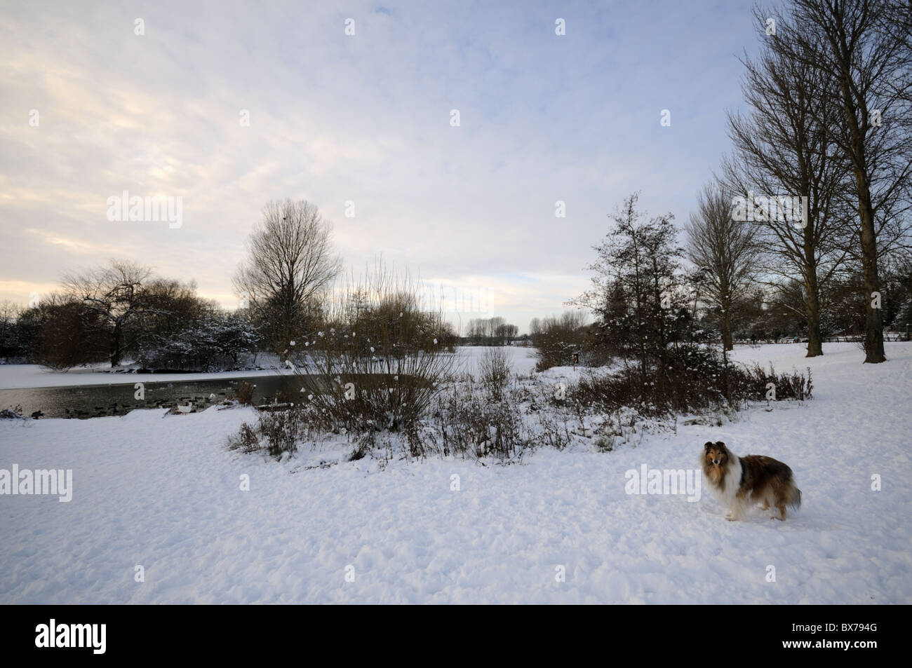 Brackley countryside northamptonshire hi-res stock photography and ...