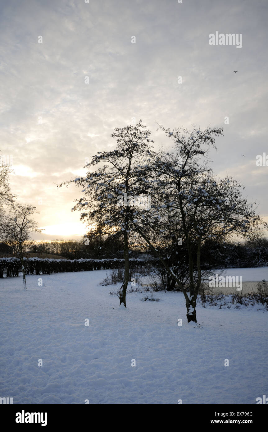 Winter Snow Scene Stock Photo - Alamy