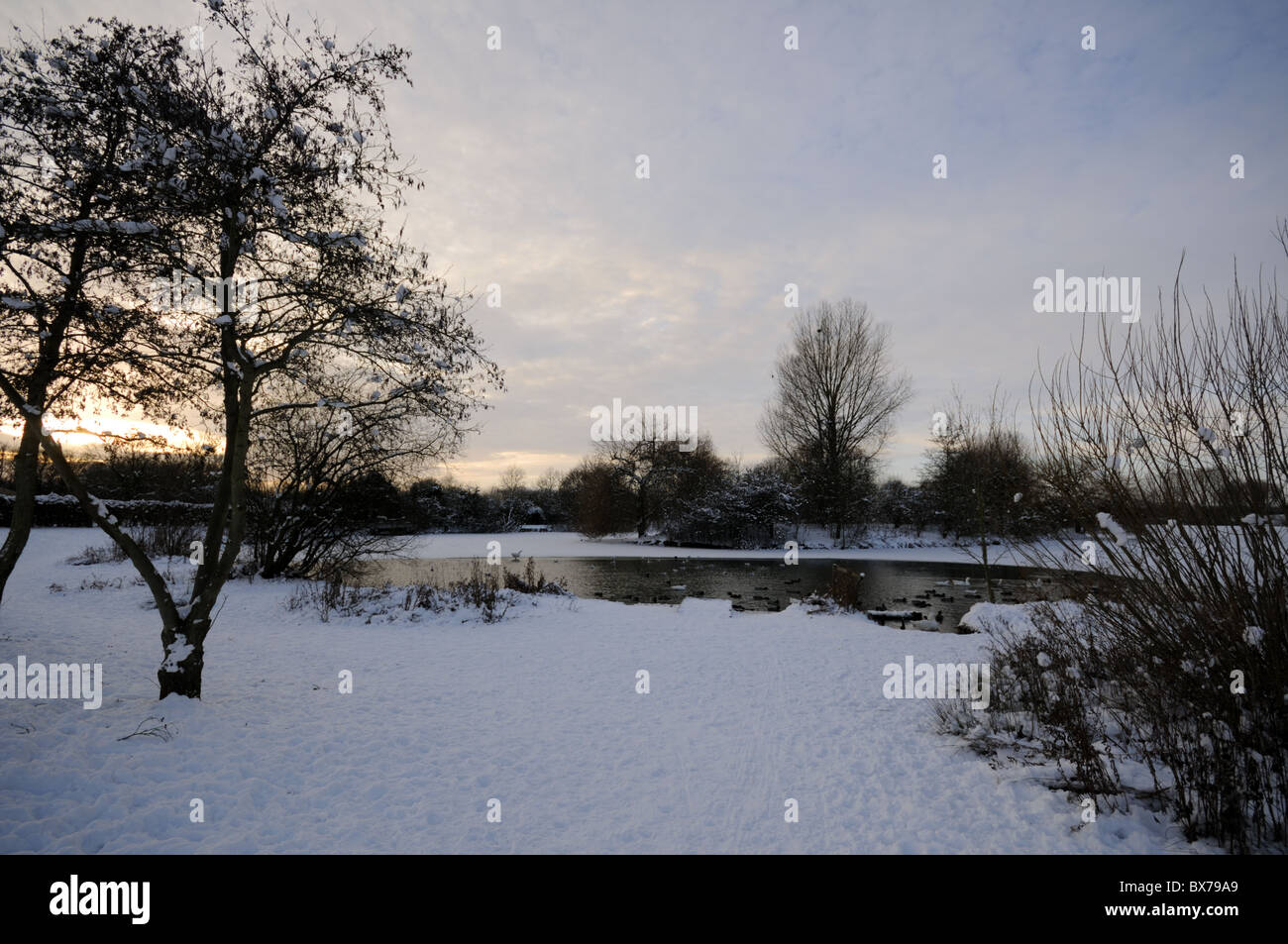 Winter Snow Scene Stock Photo - Alamy