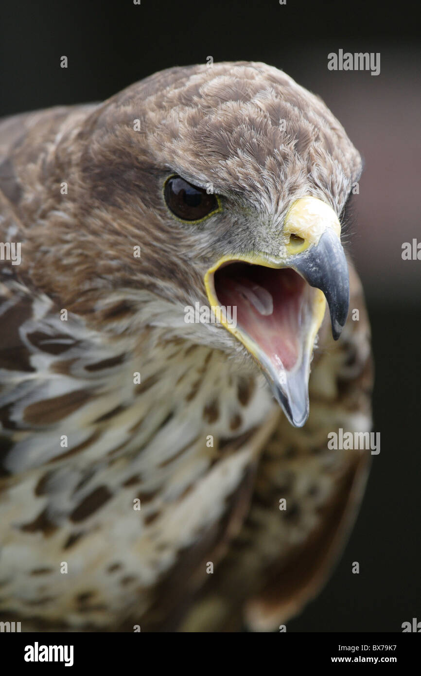 000 inch range hi-res stock photography and images - Alamy