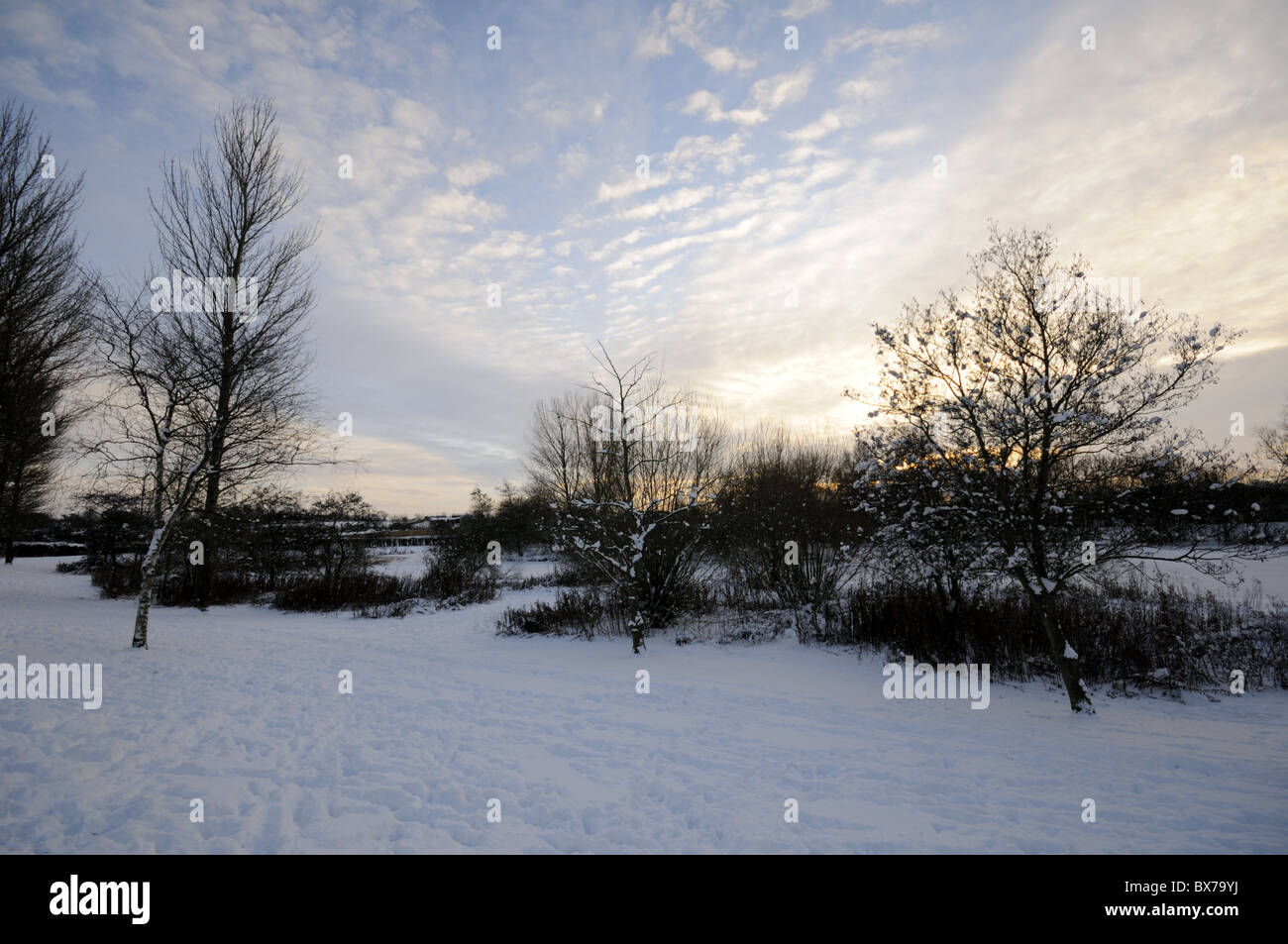 Winter Snow Scene Stock Photo - Alamy