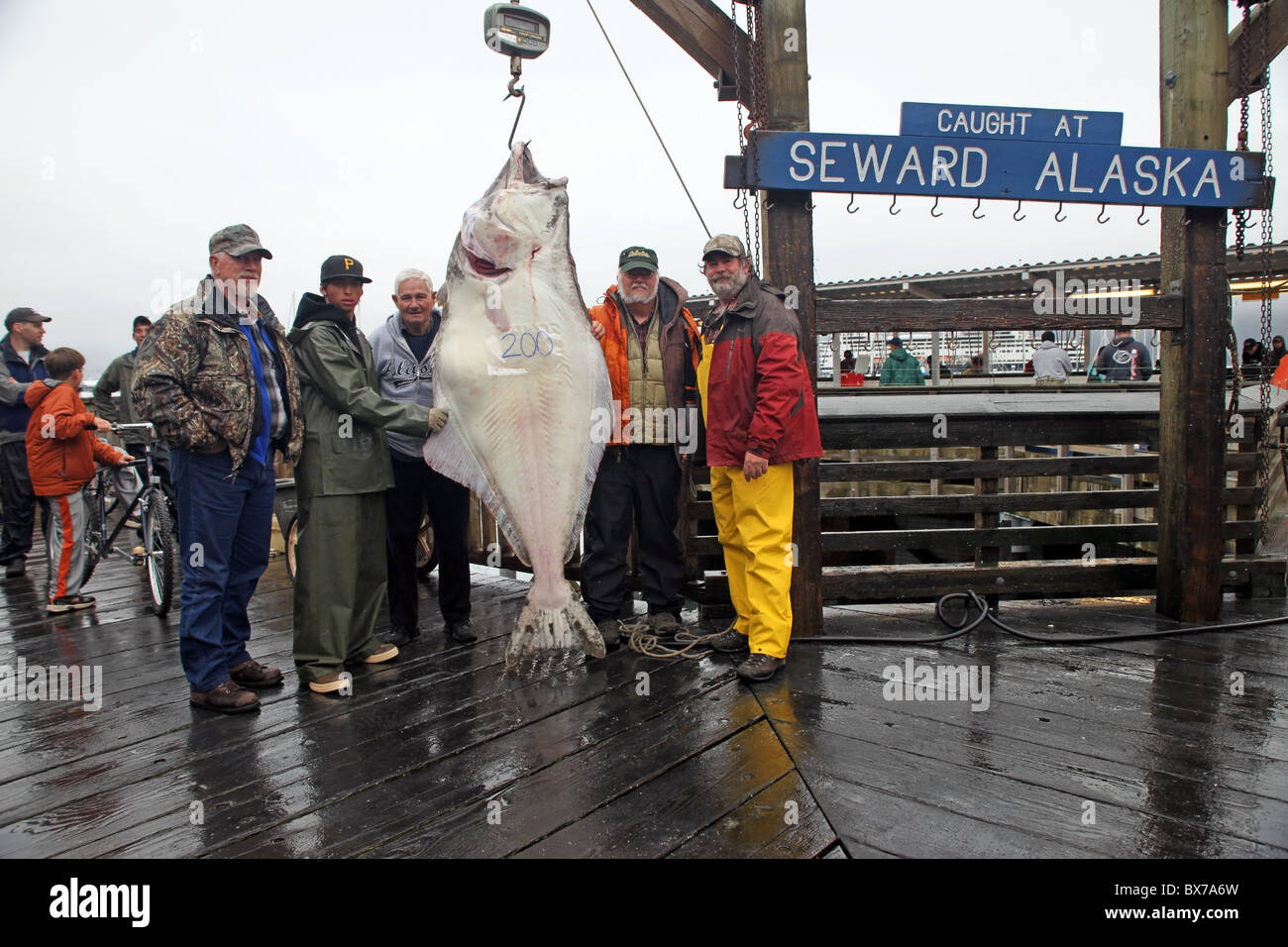 Halibut fishing alaska hi-res stock photography and images - Alamy