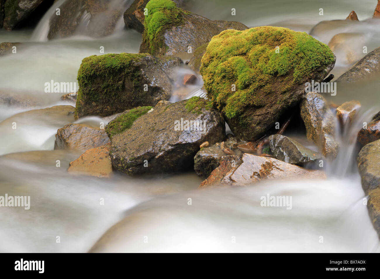 A rocky waterfall in a forest stream with moss on the rocks, a calming ...