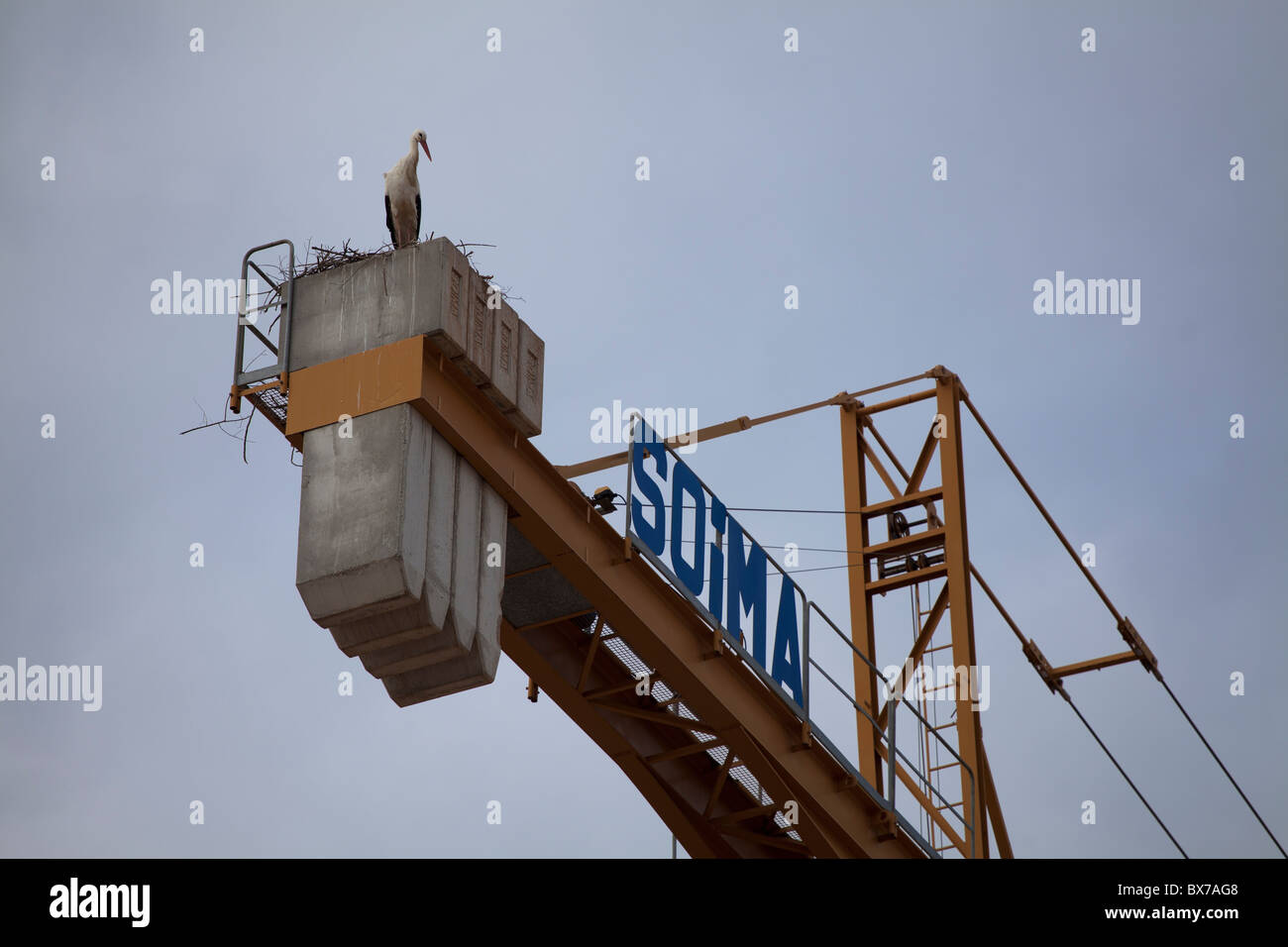 A White Stork nesting on a construction site crane Stock Photo - Alamy