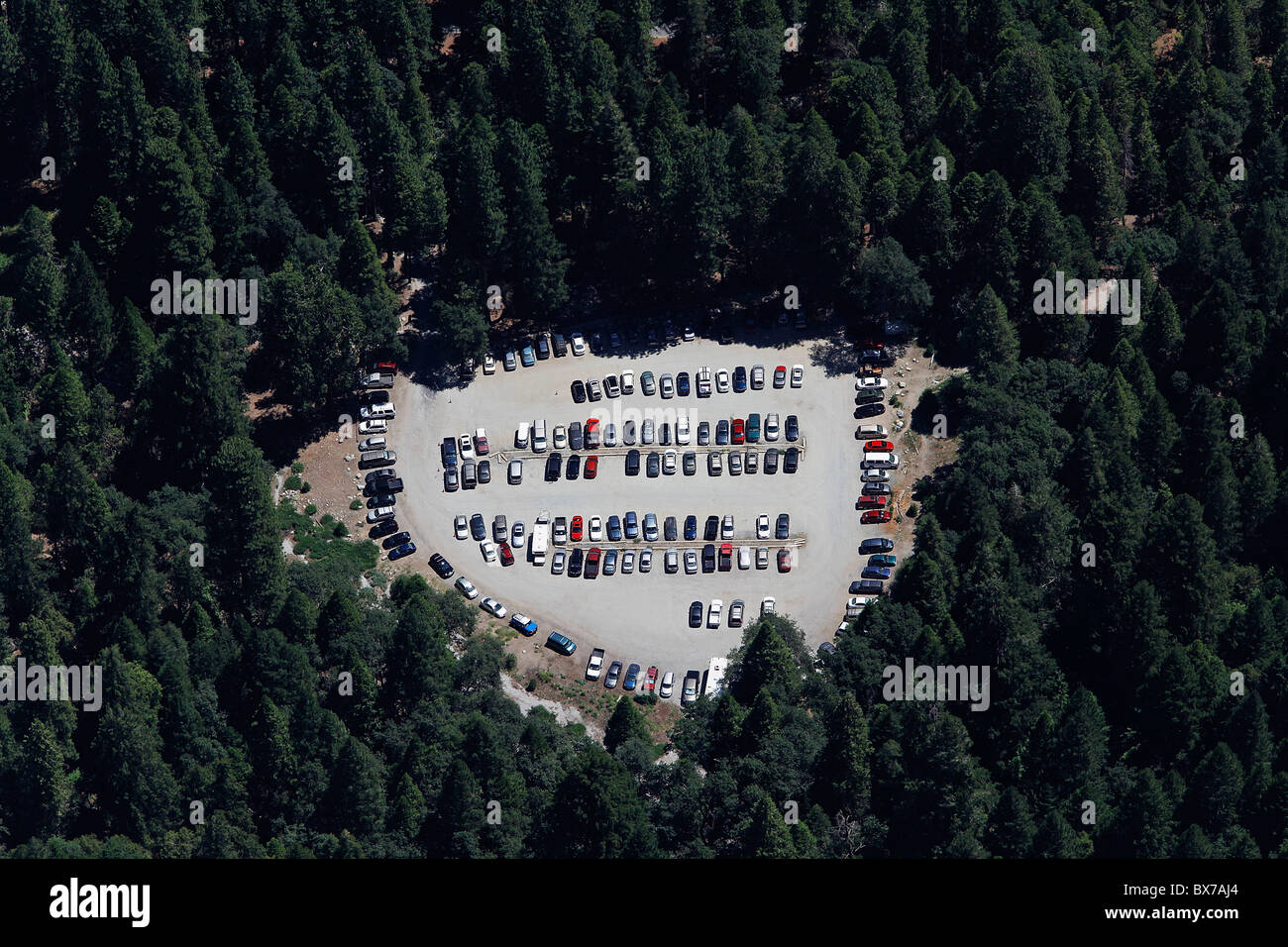 forest, cars, parking Stock Photo - Alamy