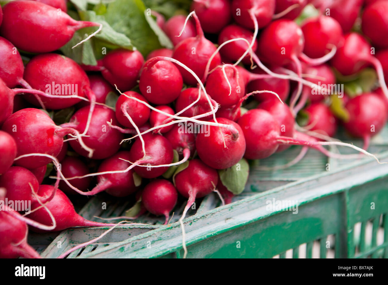 Large round radish hi-res stock photography and images - Alamy