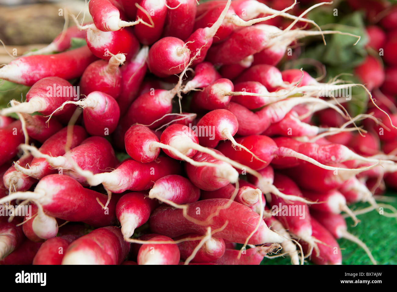 Red long radish hi-res stock photography and images - Alamy