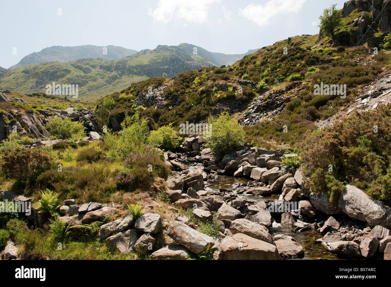 Rocky Mountain side Stream Capel Curig Snowdonia Stock Photo - Alamy