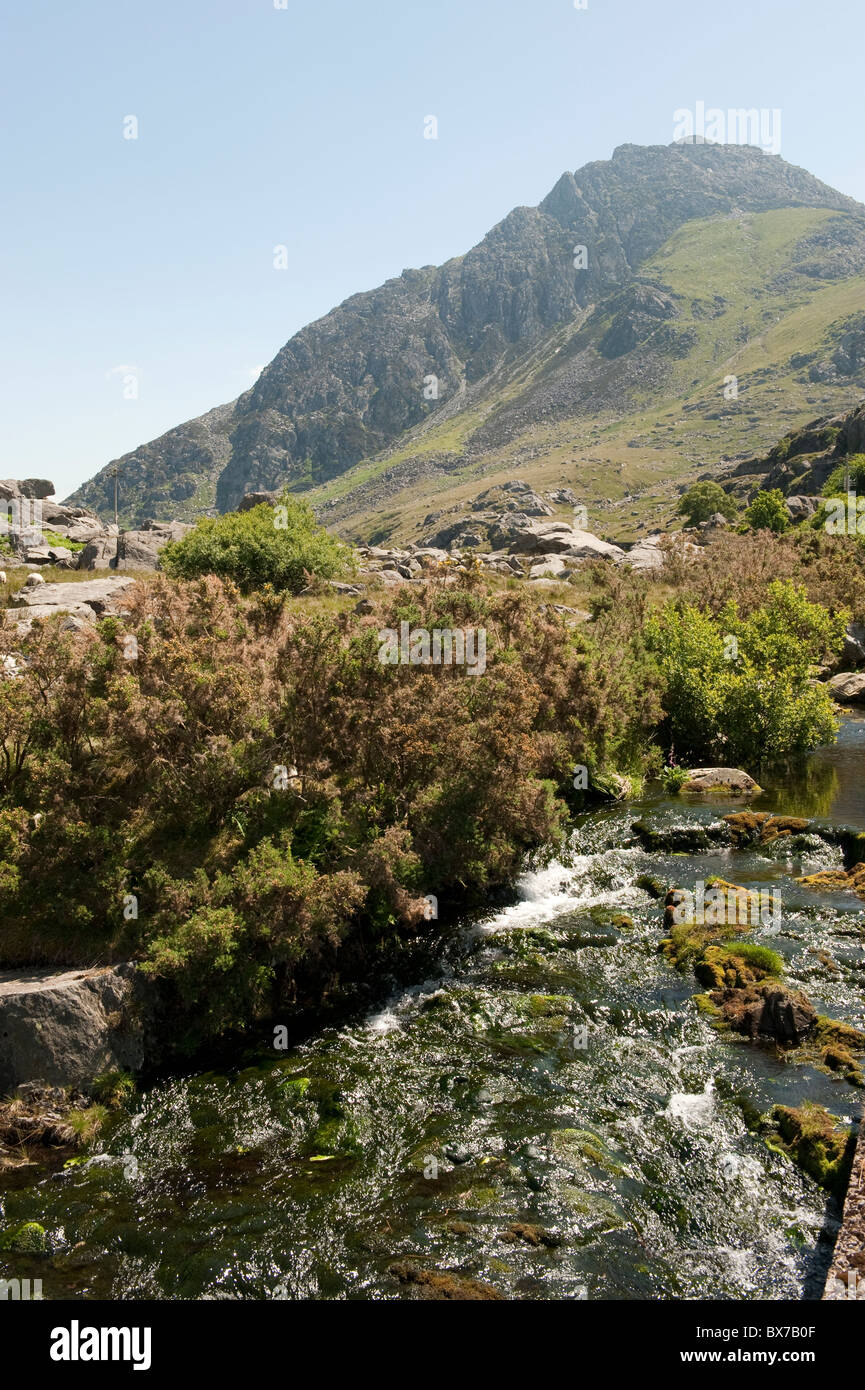 Welsh Mountain Stream Stock Photo - Alamy