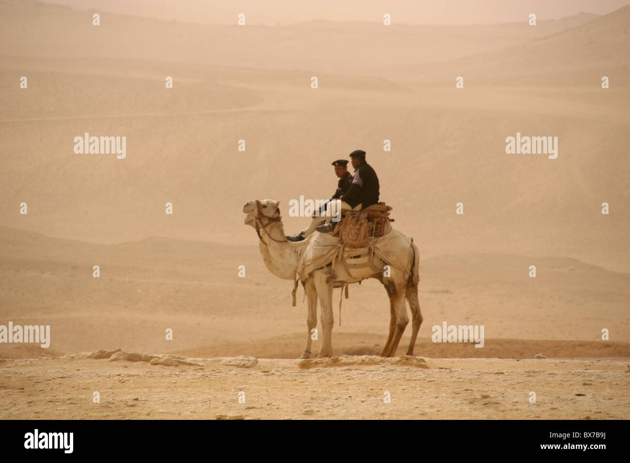Egyptian police on camel hi-res stock photography and images - Alamy