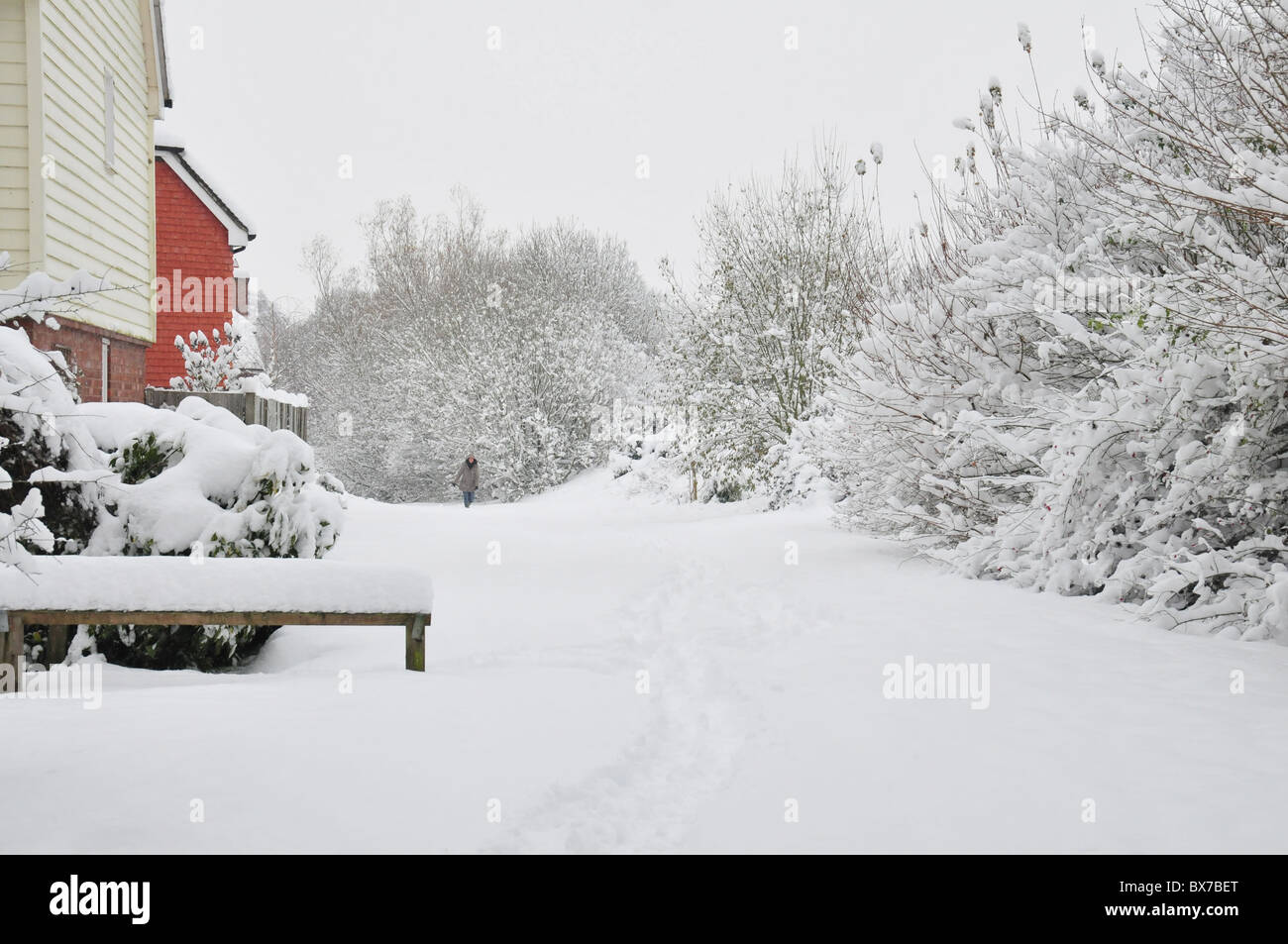 Walker In The Snow High Resolution Stock Photography and Images - Alamy