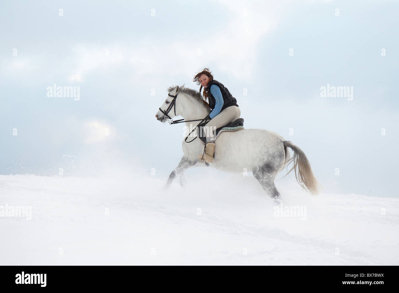 Night horse riding hi-res stock photography and images - Alamy