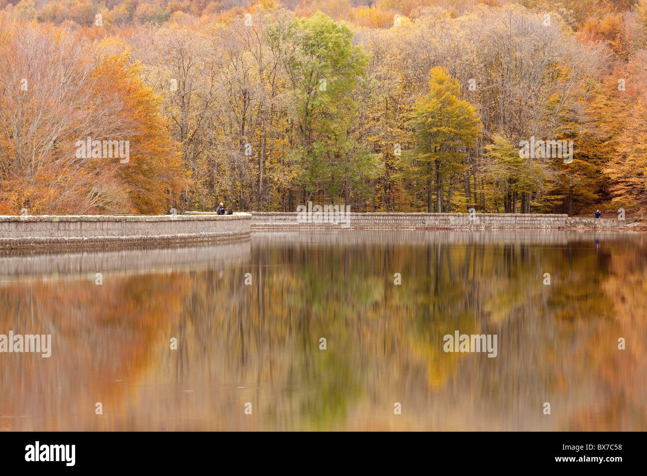 Barcelona natural park hi-res stock photography and images - Alamy