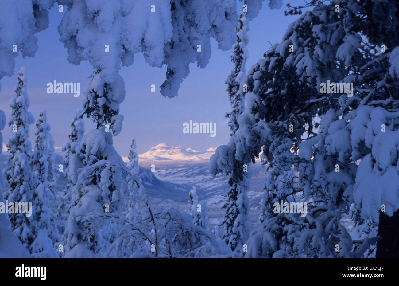 Nature, heavy snow, trees, wood, mountain, winter Stock Photo - Alamy