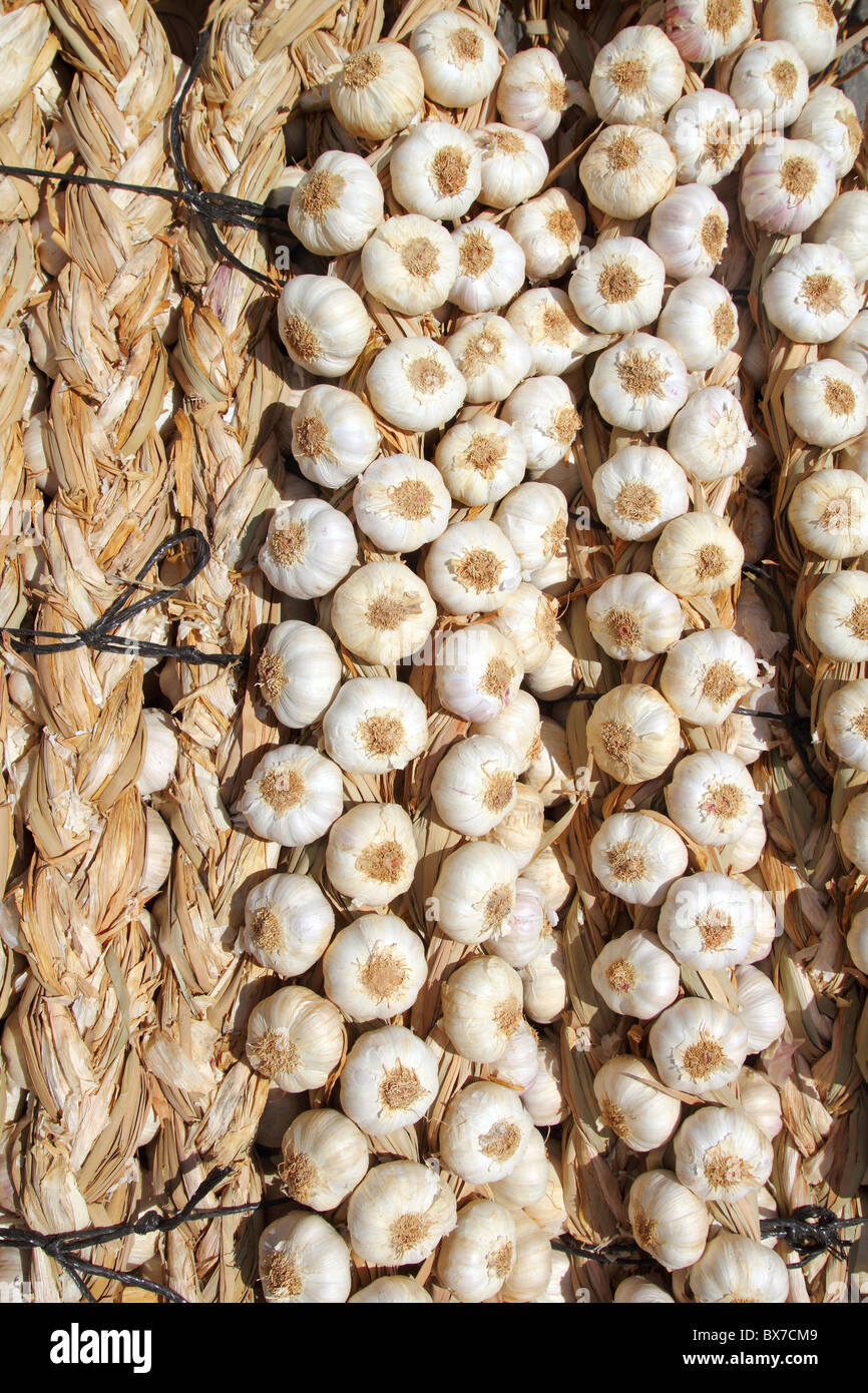 garlic bundles strings food texture background pattern Stock Photo - Alamy