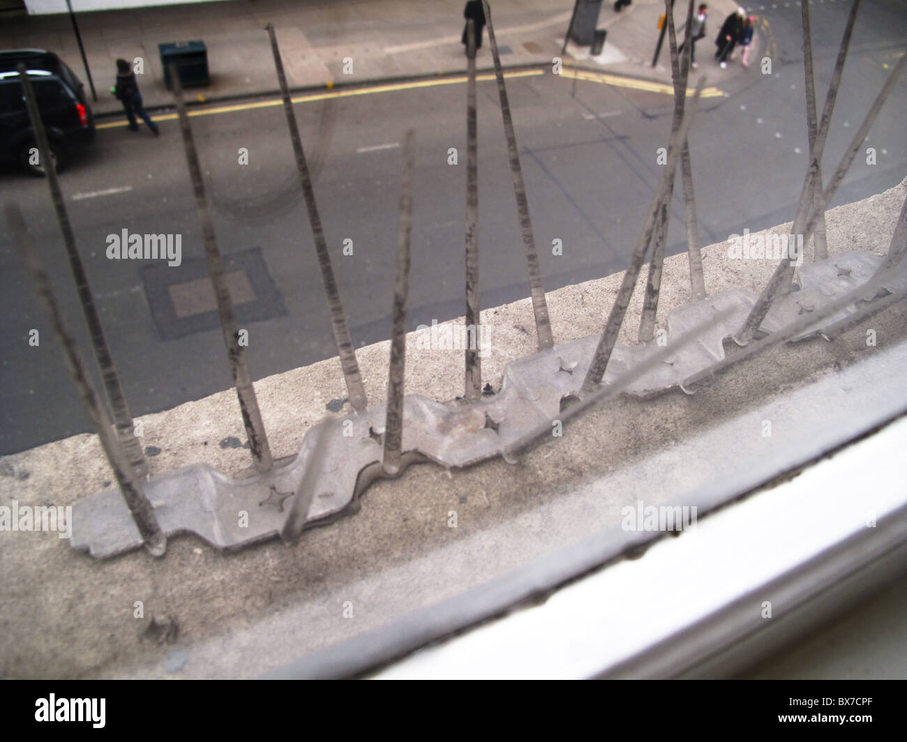 Anti bird perching spikes on window ledge Stock Photo - Alamy