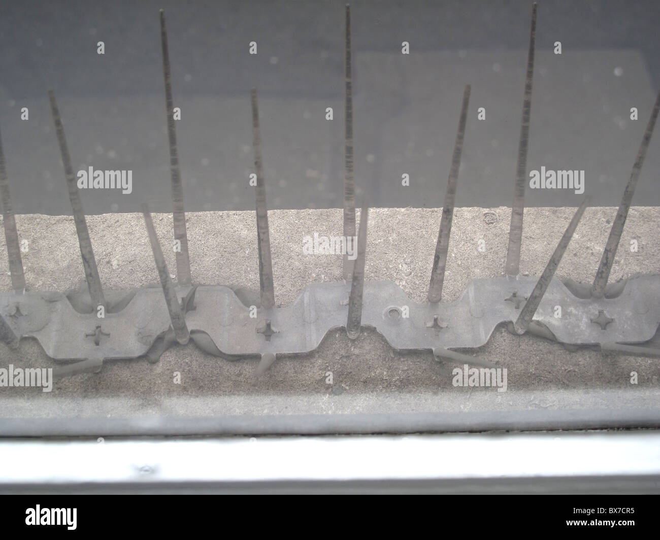 Anti bird perching spikes on window ledge Stock Photo - Alamy