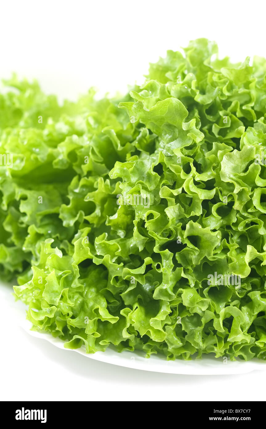 Fresh green lettuce isolated on white background Stock Photo - Alamy