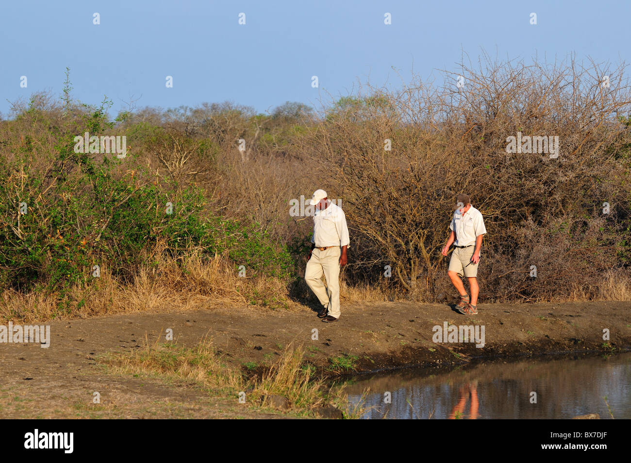 Park ranger and tracker looking for animal track around a water hole ...