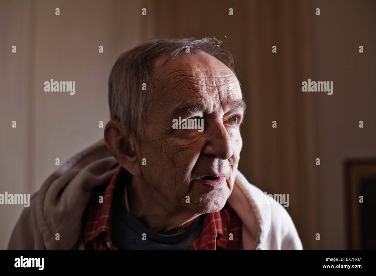 Martin jiranek hi-res stock photography and images - Alamy