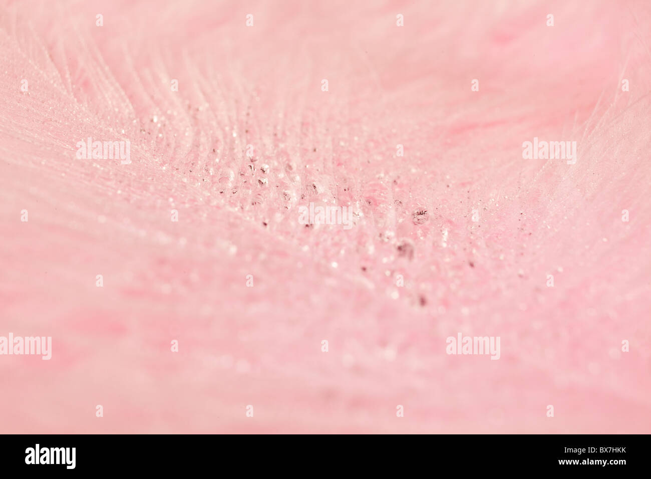 Smooth Texture Objects