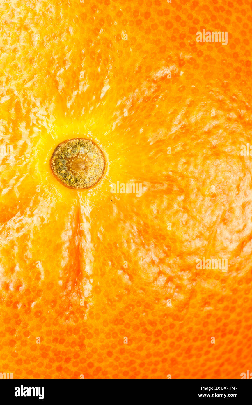 Extreme close up of a grapefruit, vertical Stock Photo - Alamy