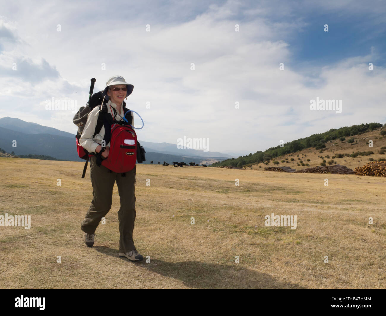 Pilgrim walking the Camino de Santiago, Spain Stock Photo - Alamy