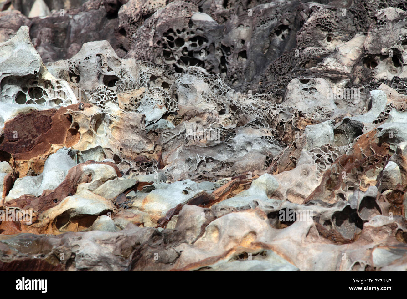 Reef texture hi-res stock photography and images - Alamy