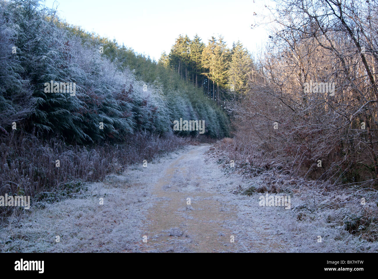 Frosty terrain hi-res stock photography and images - Alamy