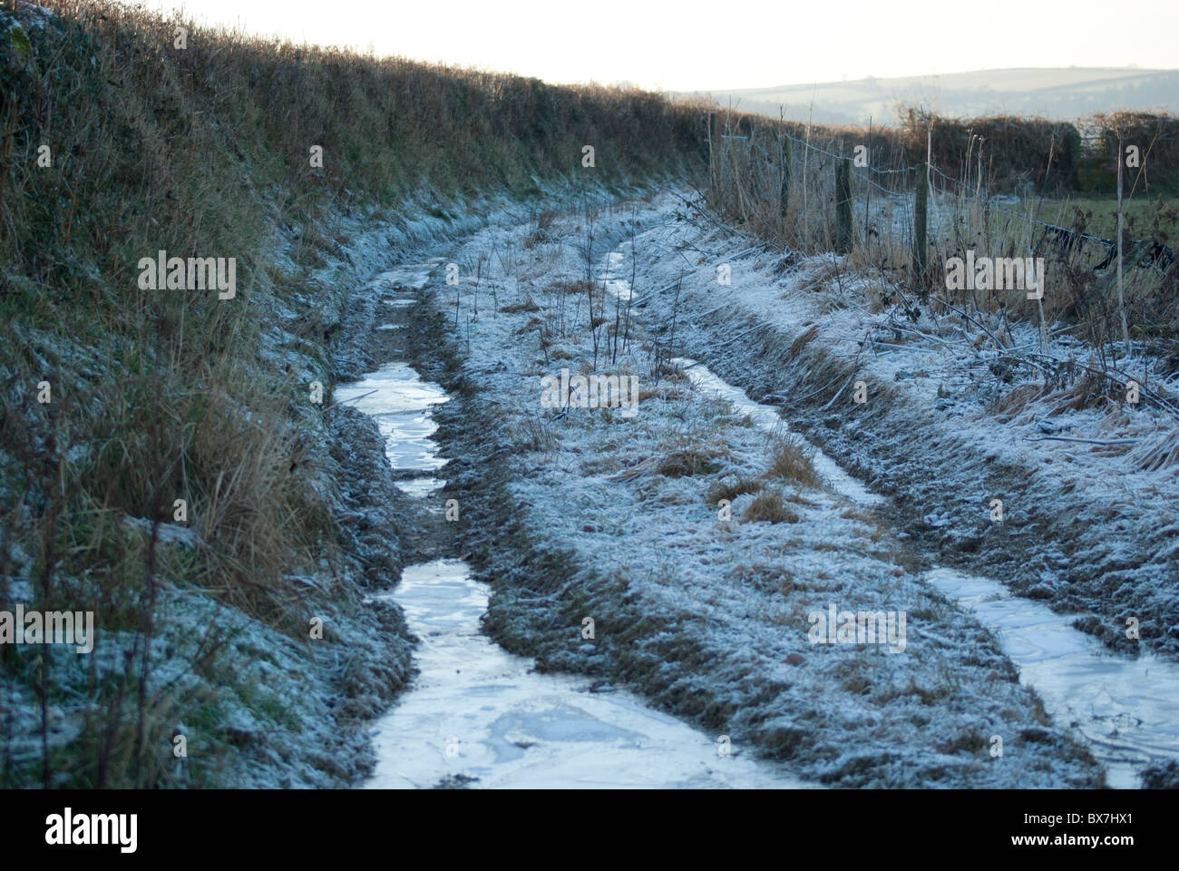 Ice frozen grass path hi-res stock photography and images - Alamy